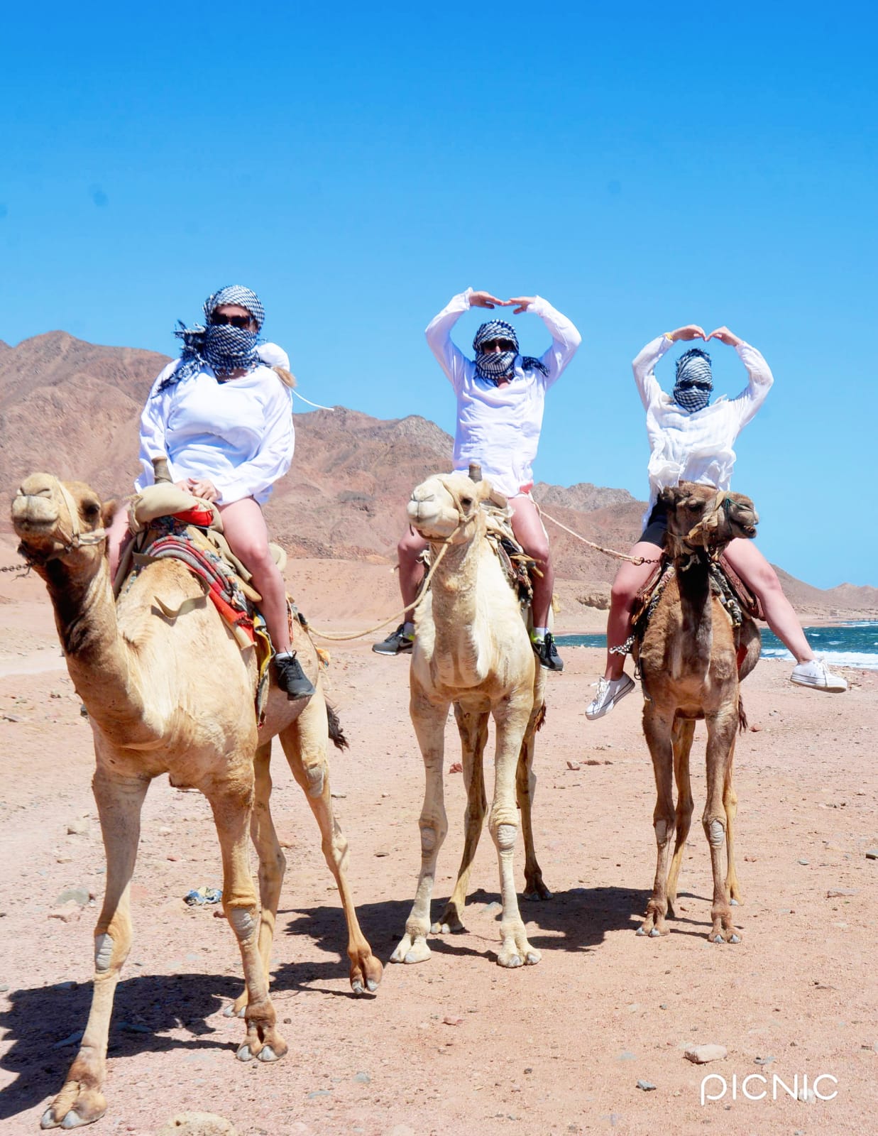 Discovery Dahab 5-in-1 Tour - karina tours